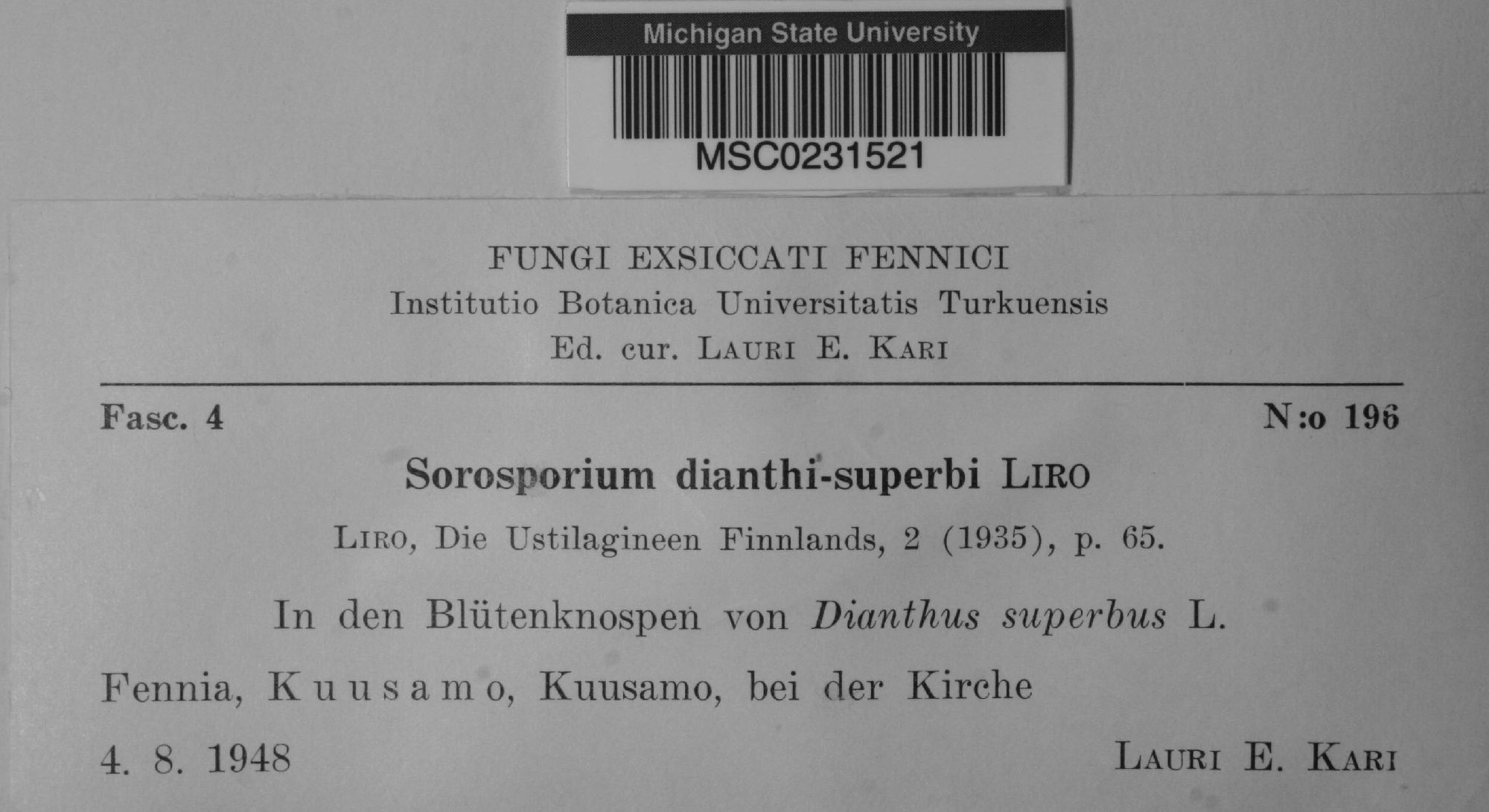 Sorosporium F Rudolphi 1829 sorosporium-f-rudolphi-1829